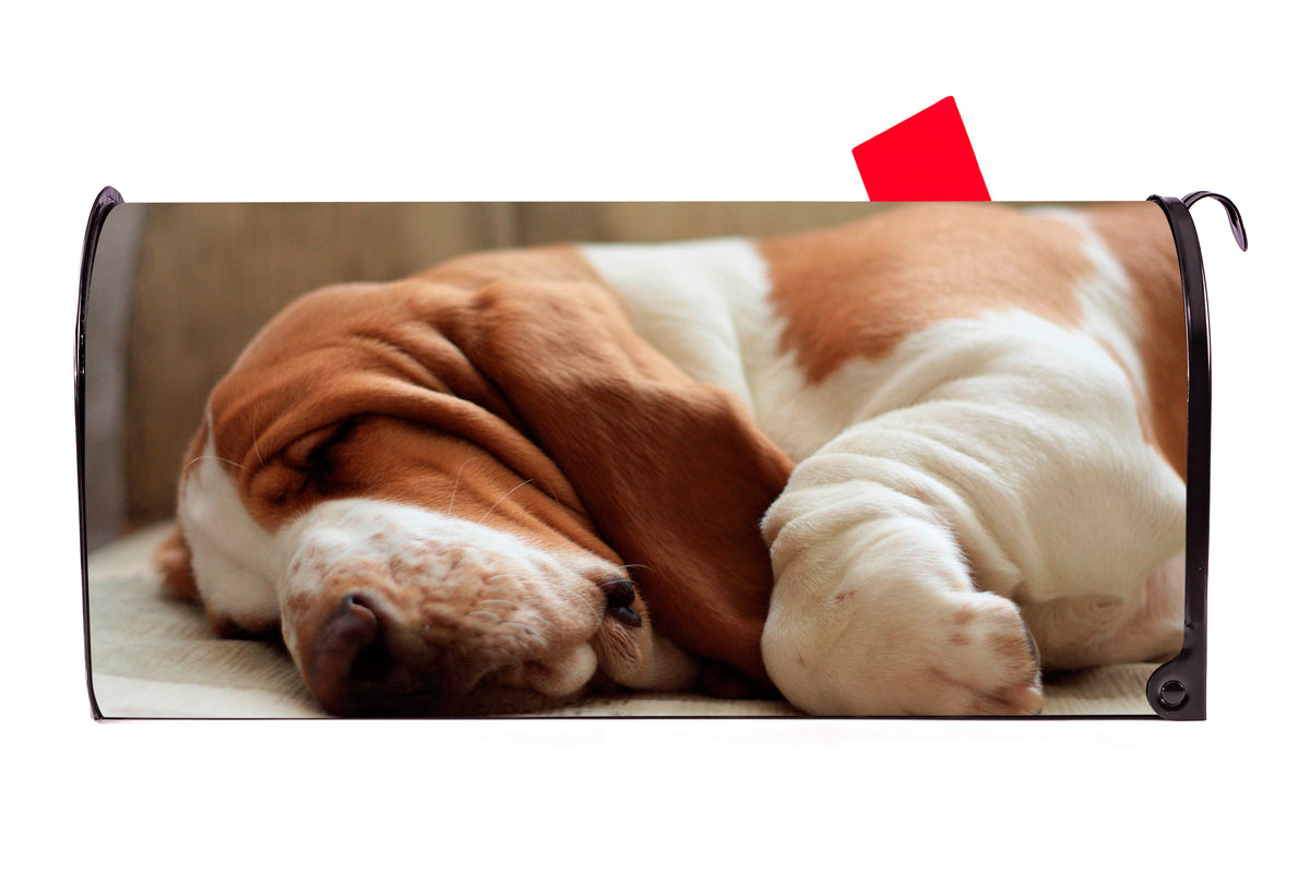 Basset Hound Dog Magnetic Mailbox Cover – Mailbox Covers for You