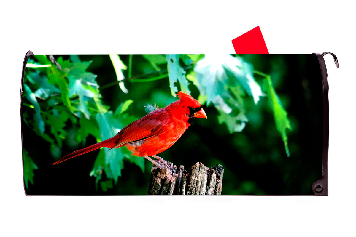 Bird Cardinal Magnetic Mailbox Cover – Mailbox Covers for You