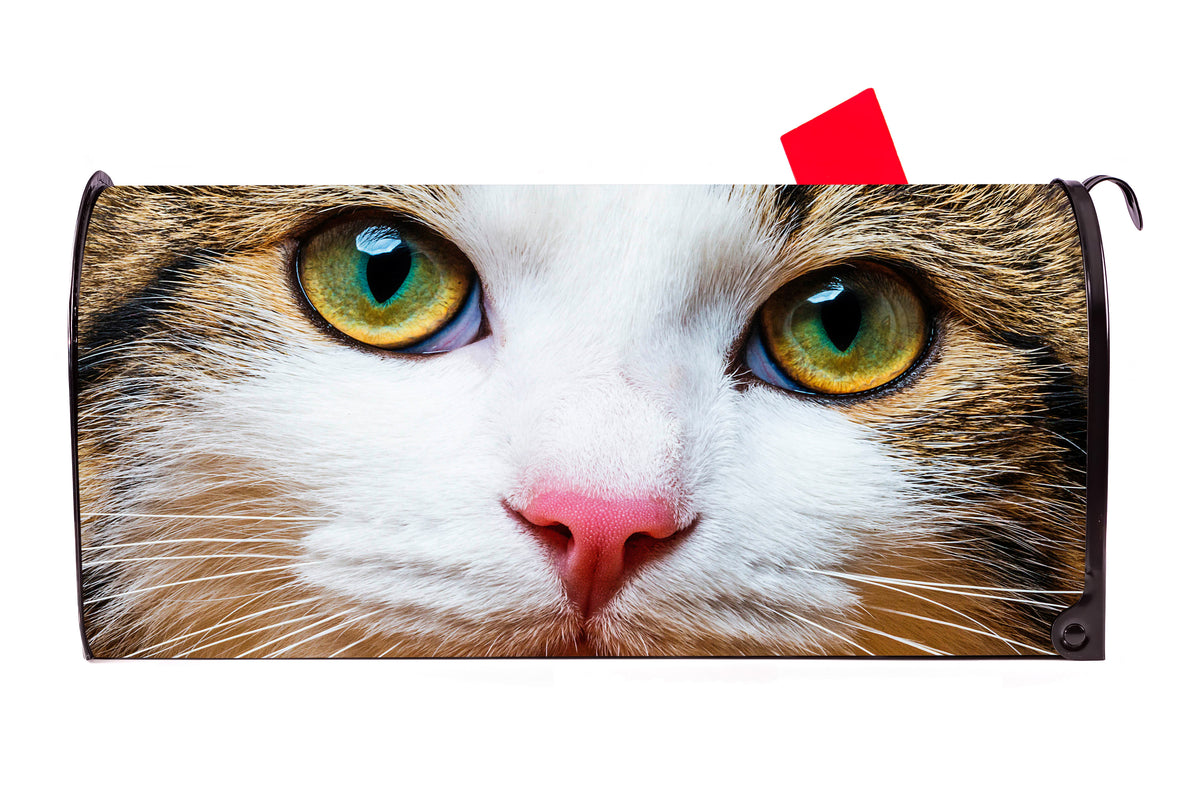 Cat Face Magnetic Mailbox Cover – Mailbox Covers for You