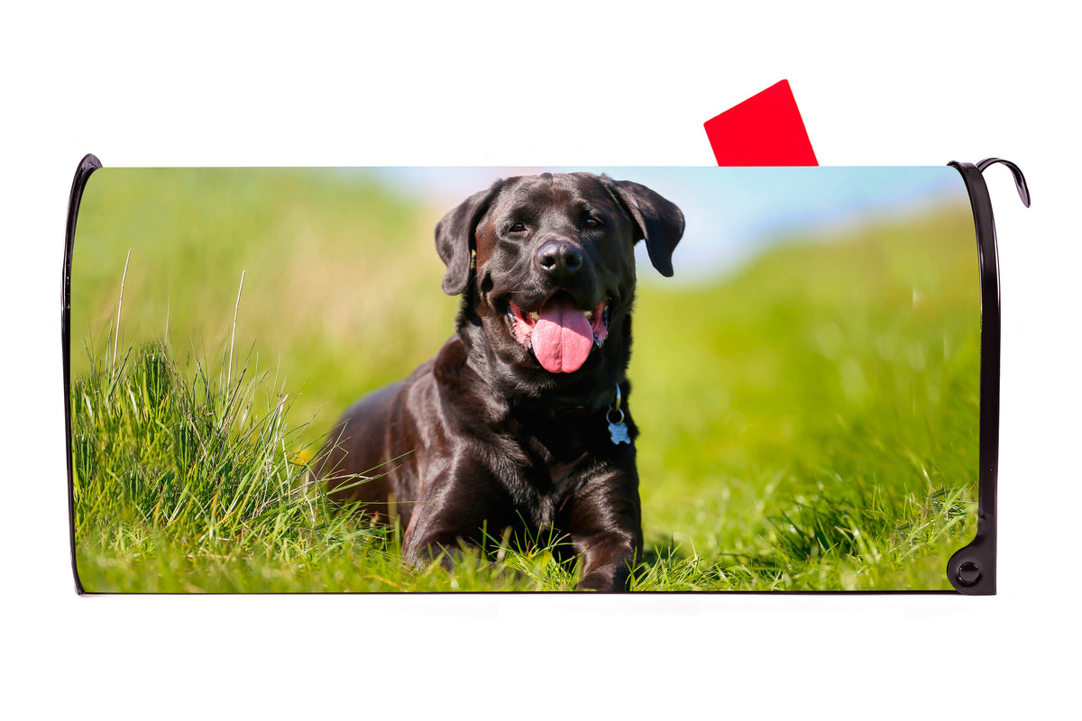 Chocolate Lab Labrador Dog 2 Magnetic Mailbox Cover – Mailbox Covers ...
