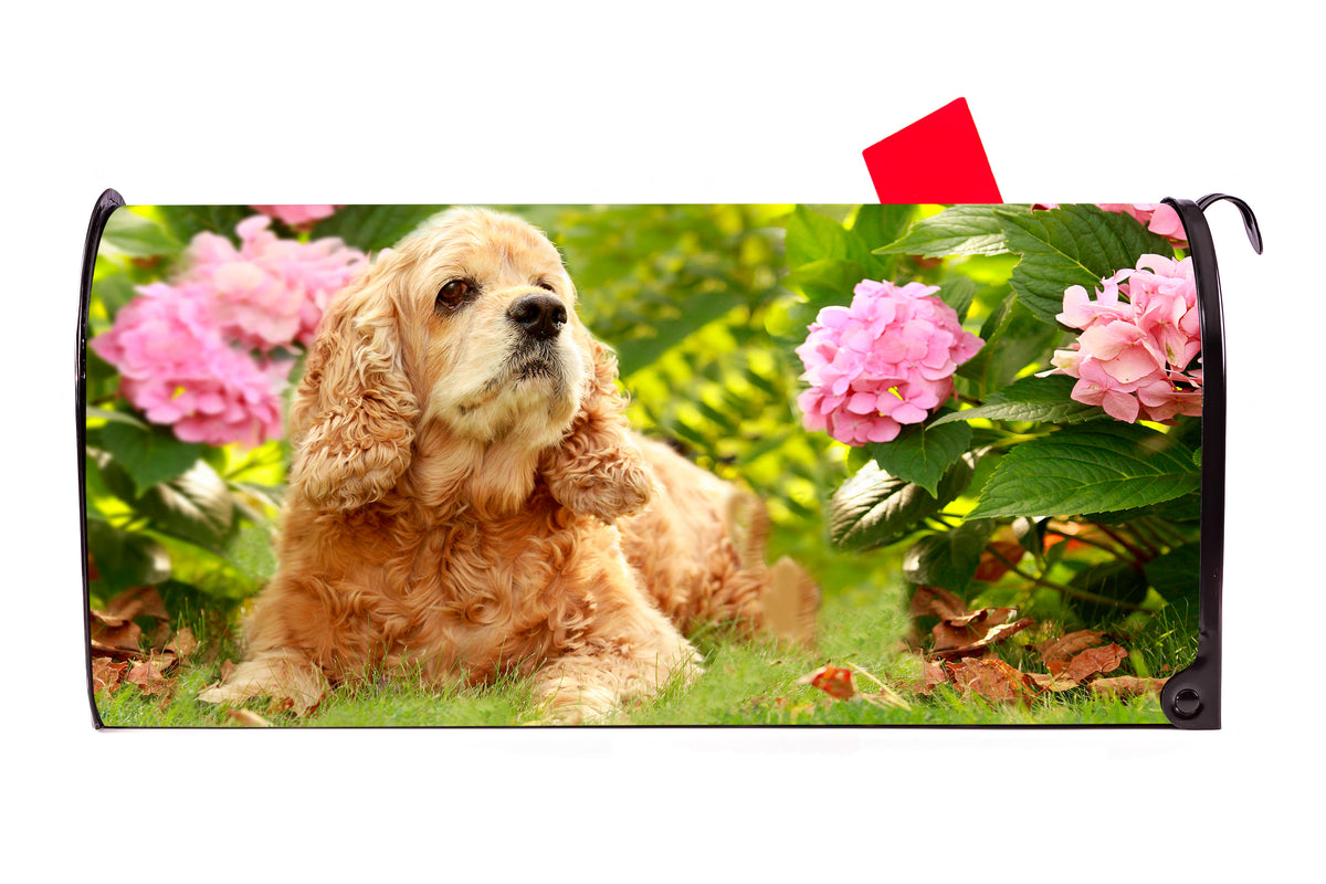Tan Cocker Spaniel Dog Magnetic Mailbox Cover – Mailbox Covers for You