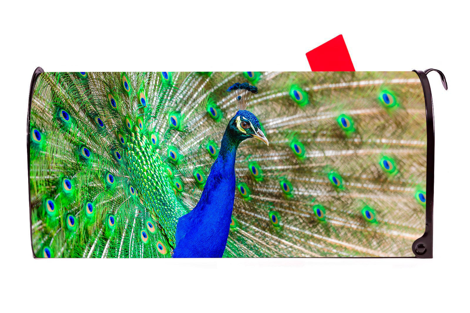 Peacock Magnetic Mailbox Cover – Mailbox Covers for You