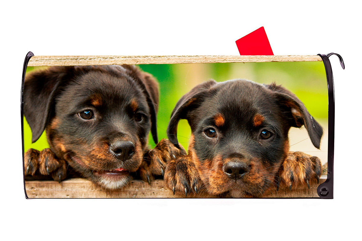 Rottweiler Puppies Dog Magnetic Mailbox Cover – Mailbox Covers for You
