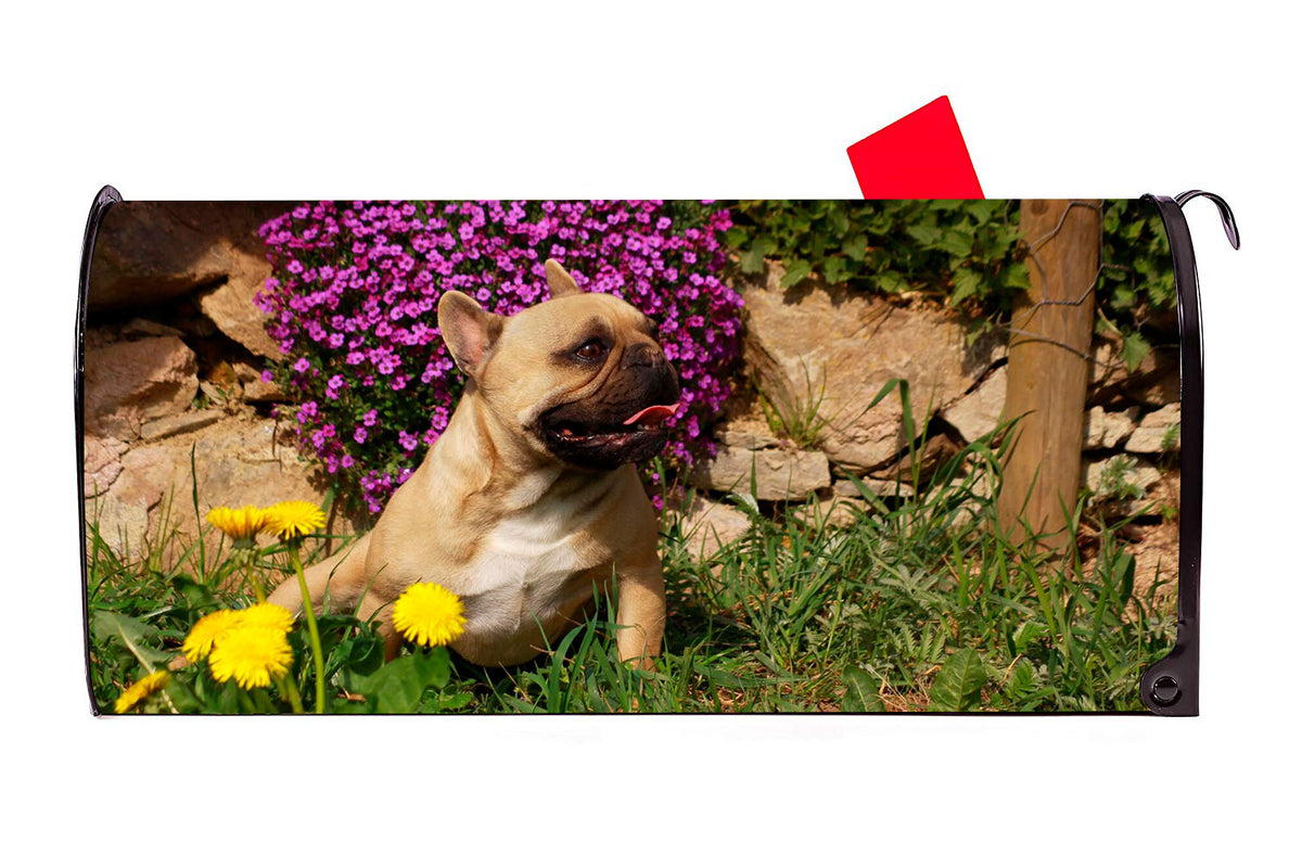 Tan Pug 2 Dog Magnetic Mailbox Cover – Mailbox Covers for You
