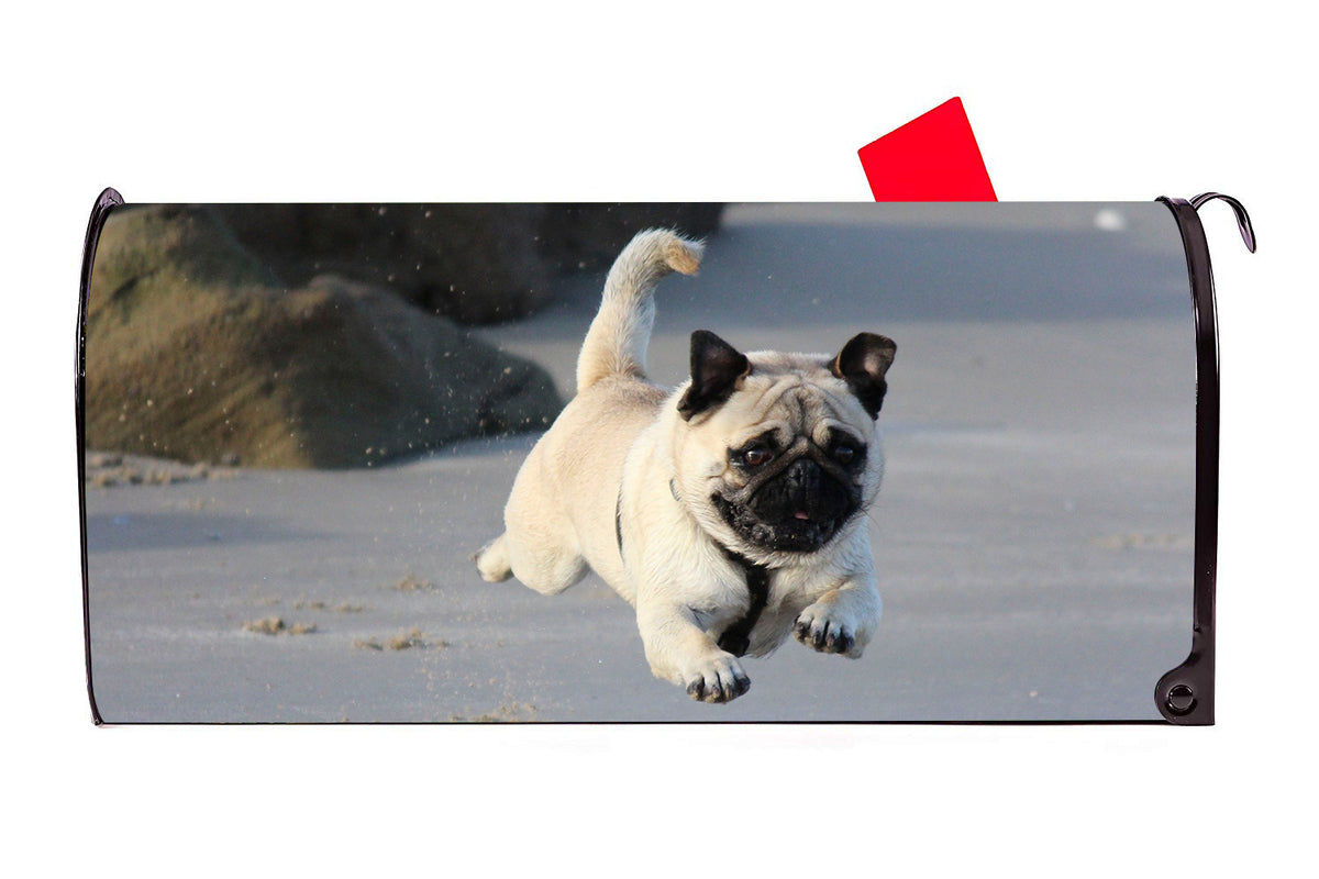 White Pug Dog Magnetic Mailbox Cover – Mailbox Covers for You